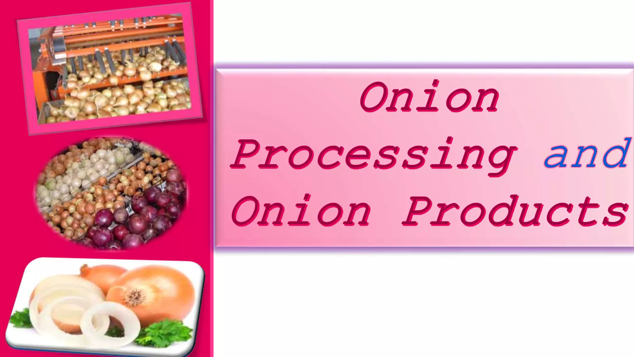Onion Processing and Onion Products | PPTX