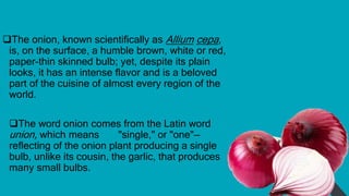 Onion Production In Bangladesh | PPTX