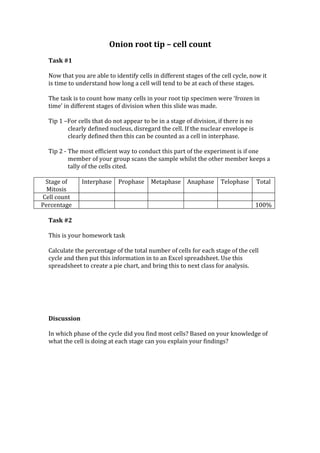 Onion root tip prac | PDF