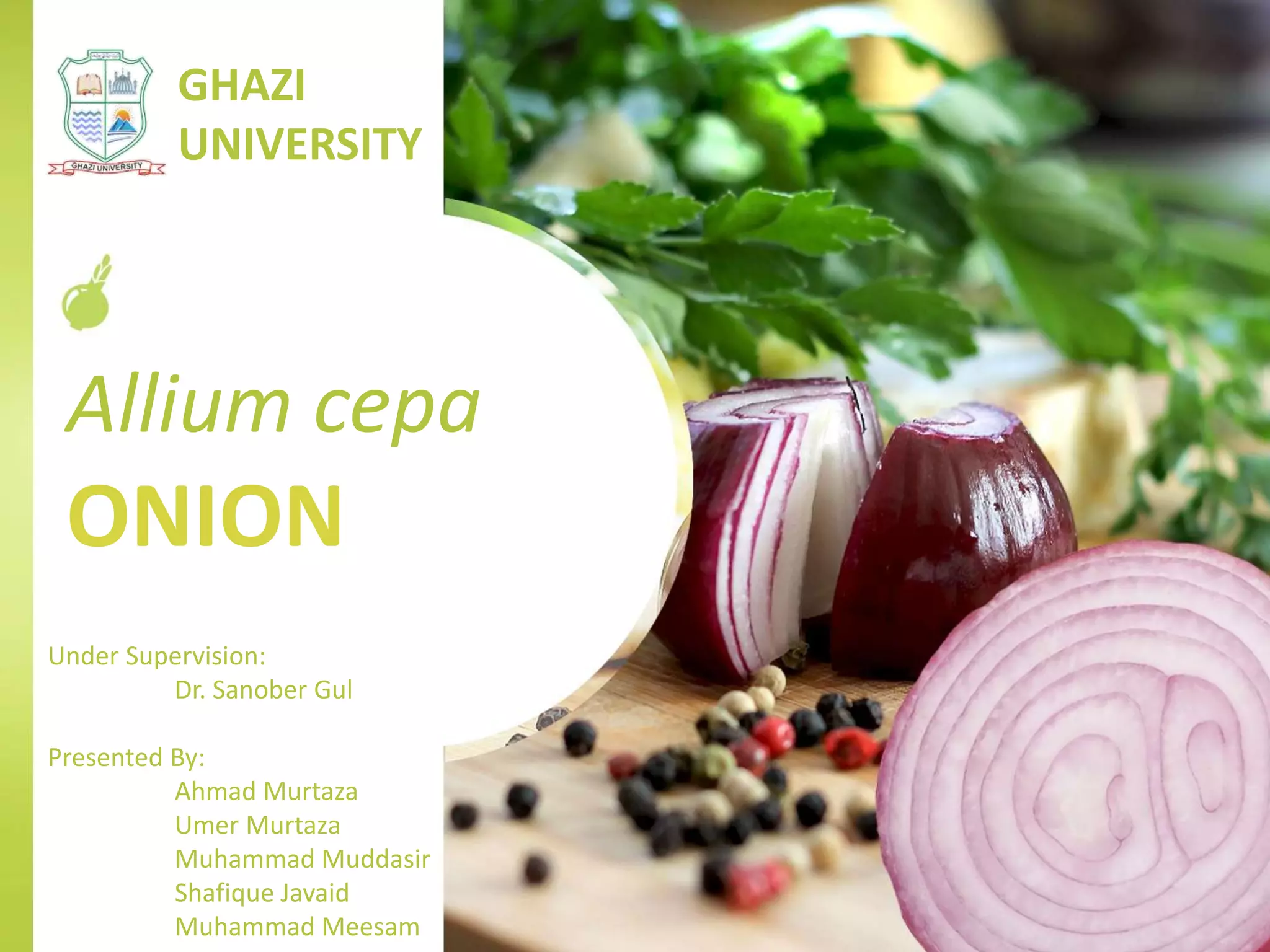 Breeding Onions.pptx