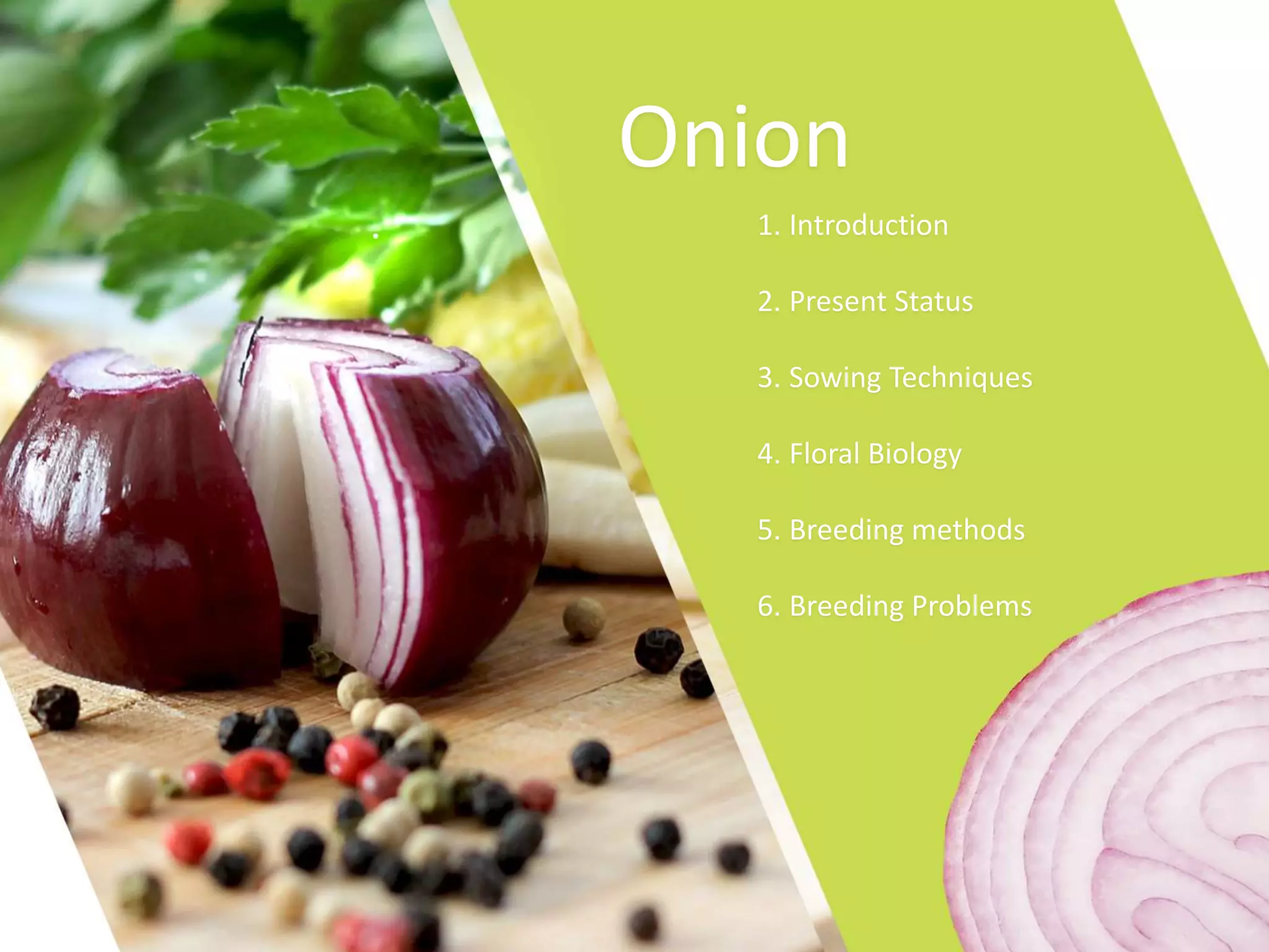 Breeding Onions.pptx