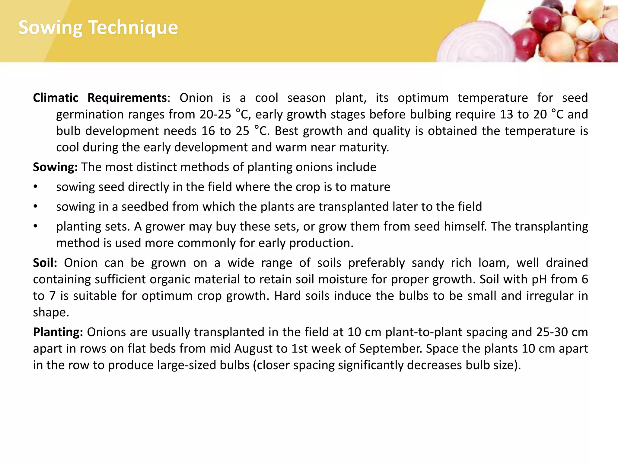 Breeding Onions.pptx
