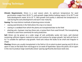 Breeding Onions.pptx