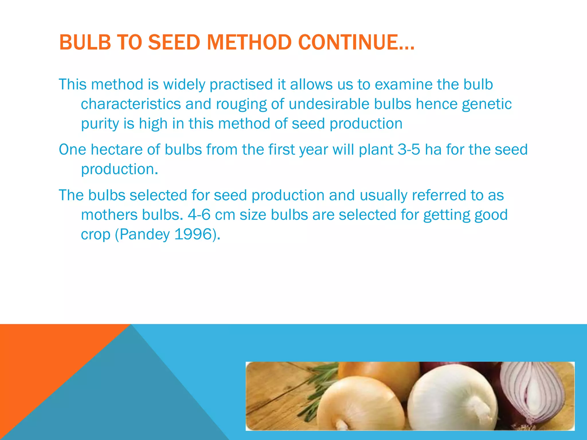 Onion seed production | PPTX