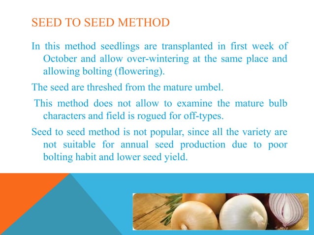 Onion seed production | PPTX