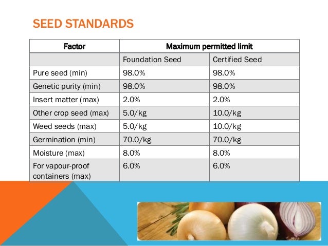 Onion seed production