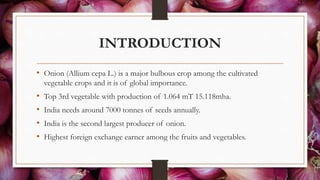 Onion seed production | PPTX