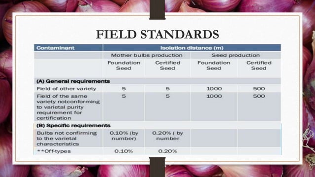Onion seed production | PPTX | Agriculture | Industries
