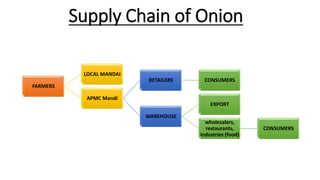 Onion supply chain | PPTX