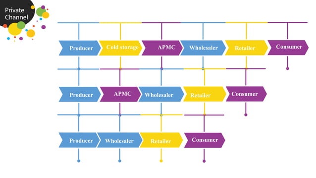 Onion supply chain | PPTX | Agriculture | Industries