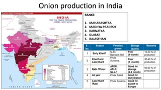 Onion supply chain | PPTX