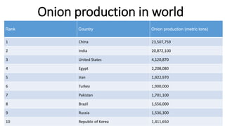 Onion supply chain | PPT