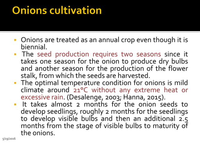 Review on onion Value chain Analysis in Ethiopia | PDF | Agriculture ...