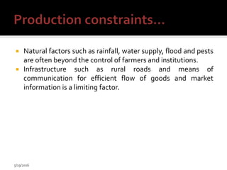 Review on onion Value chain Analysis in Ethiopia | PDF