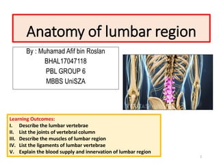 Musculoskeletal system:Anatomy of the Lumbar region | PDF