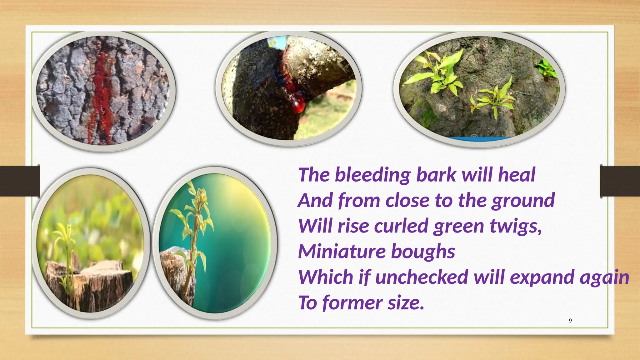 on killing a tree ppt | PPTX