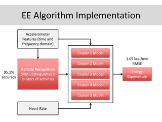 Body Weight-Normalized Energy Expenditure Estimation Using Combined ...