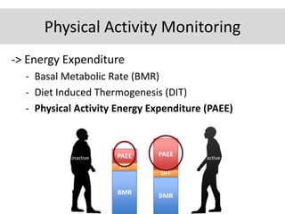 Body Weight-Normalized Energy Expenditure Estimation Using Combined ...