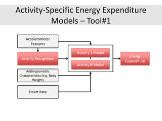 Body Weight-Normalized Energy Expenditure Estimation Using Combined ...