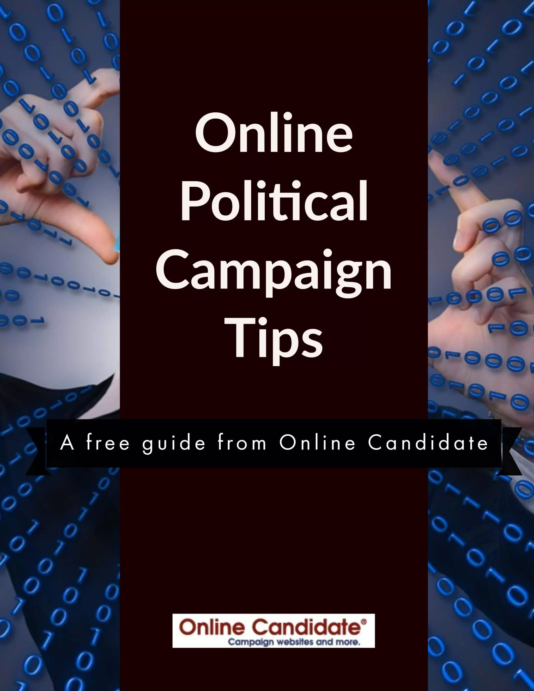 Online Political Campaign Tips | PDF