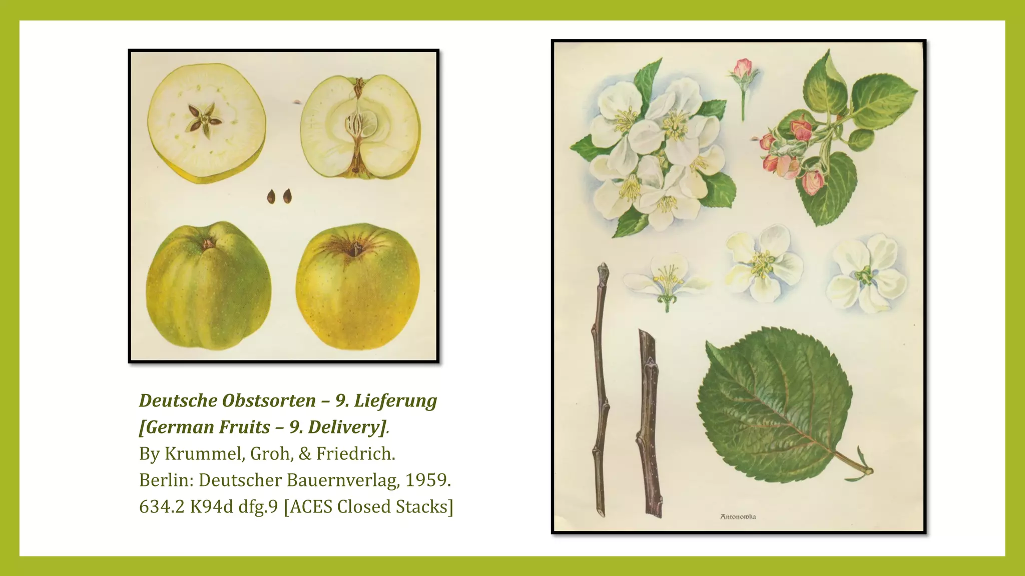 Funk Library Apple Collections | PDF