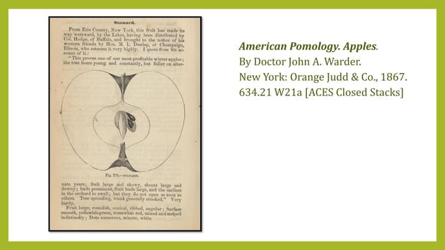 Funk Library Apple Collections | PDF