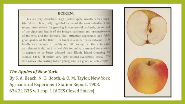 Funk Library Apple Collections | PDF