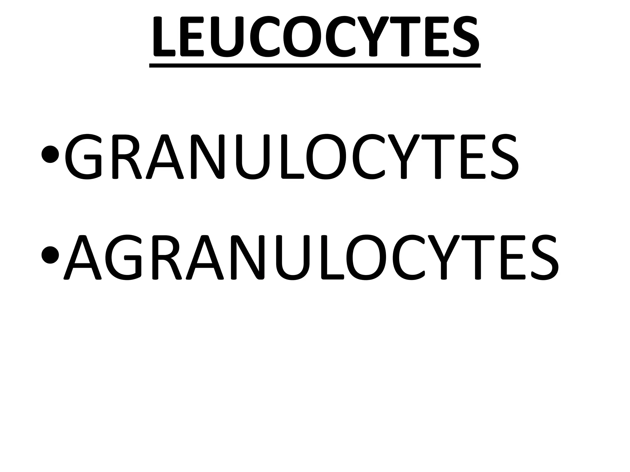 POWERPOINT - BLOOD CELLS | PPTX