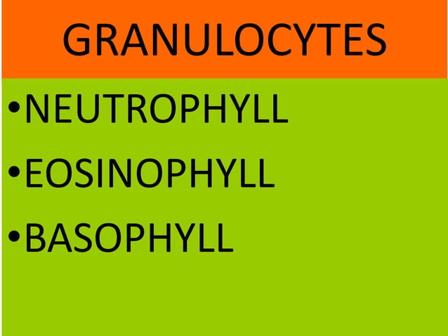 POWERPOINT - BLOOD CELLS | PPTX