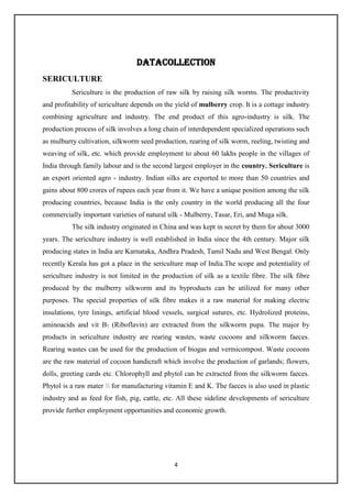 Online assignment topic seri culture | PDF