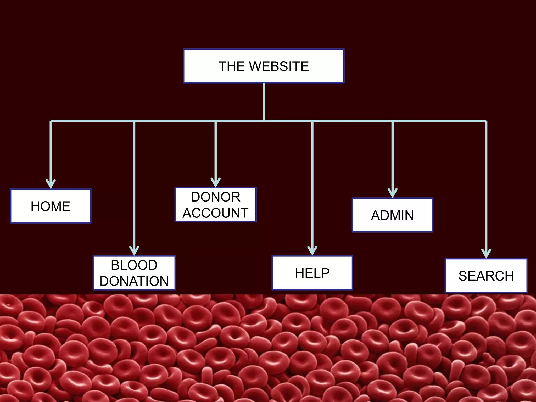 ONLINE BLOOD BANKING SYSTEM | PPTX