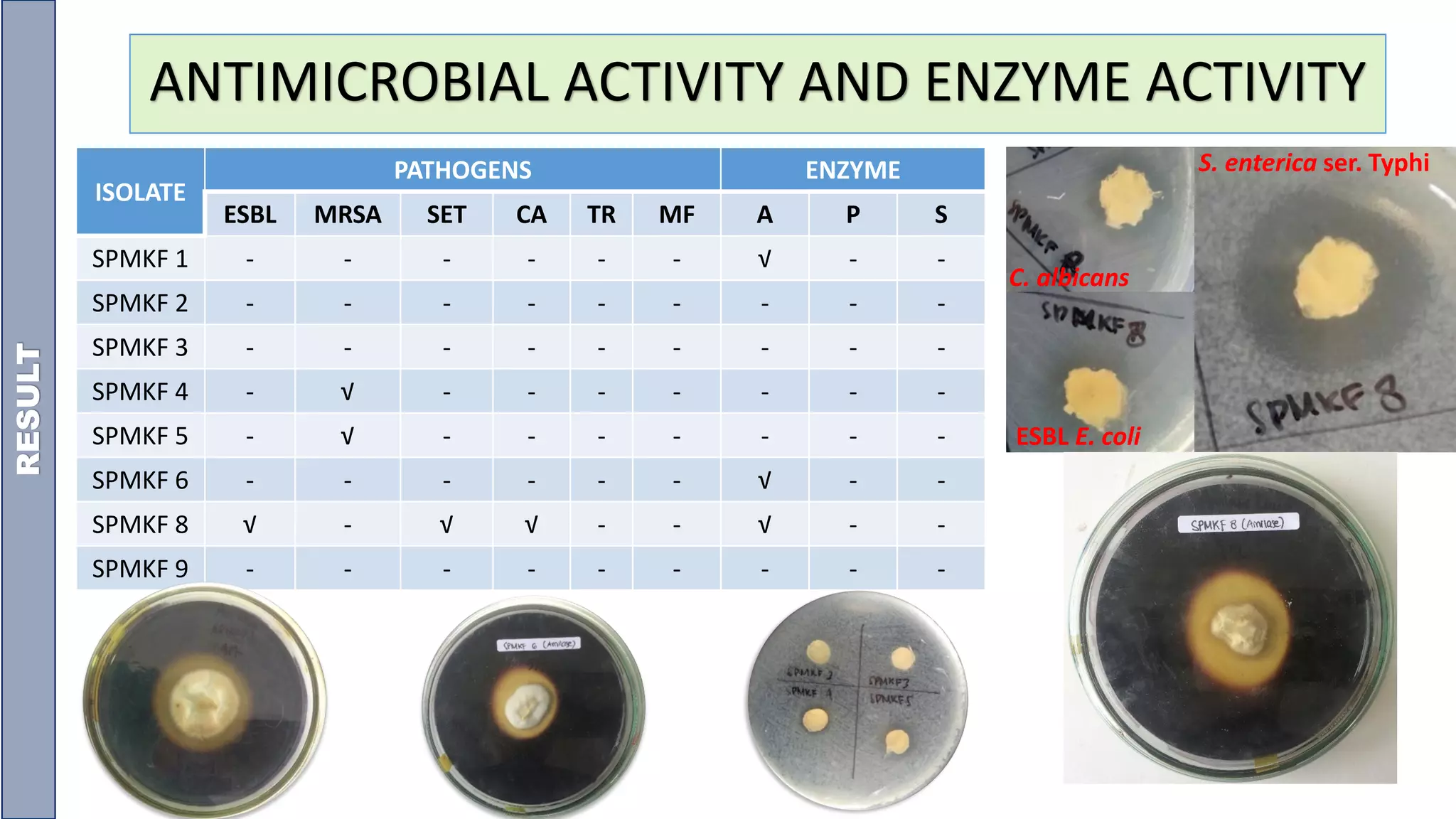 Online conference undip indonesia | PPT
