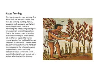 Aztec Farming Tools
