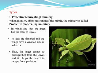 online guest Lecture 13-05-2022.pptx | Reptiles | Pets