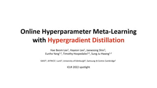 Online Hyperparameter Meta-Learning with Hypergradient Distillation | PDF