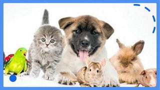 Online kamustahan Dec 15.pptx