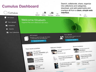 Avaali Solutions-Digital Asset Management Solution | PDF