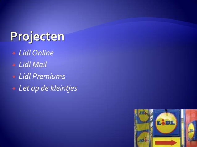 Online Marketingplan Lidl | PPT