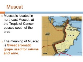 Muscat | PPTX