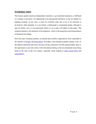 Online presentation - Anju L | PDF