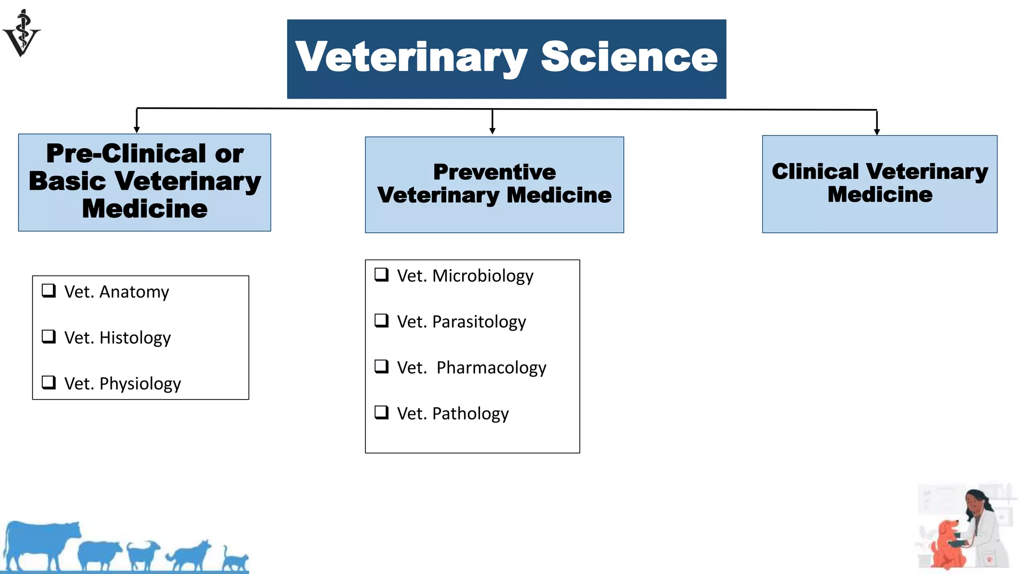 Animal Sciences VS Veterinary Sciencs | PPTX