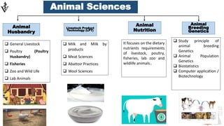 Animal Sciences VS Veterinary Sciencs | PPTX