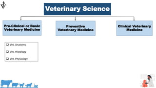 Animal Sciences VS Veterinary Sciencs | PPTX