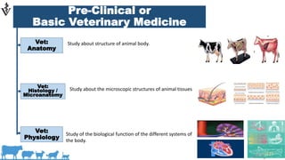 Animal Sciences VS Veterinary Sciencs | PPTX