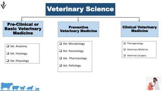Animal Sciences VS Veterinary Sciencs | PPTX