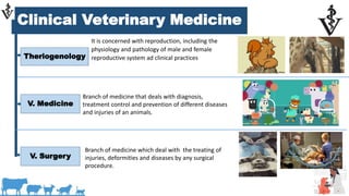 Animal Sciences VS Veterinary Sciencs | PPTX