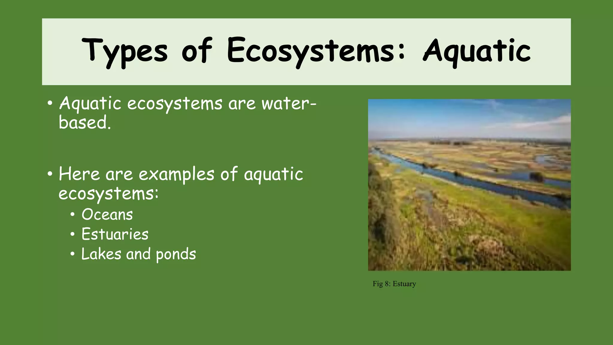 Ecosystems Module 1: Abiotic & Biotic Factors | PPTX