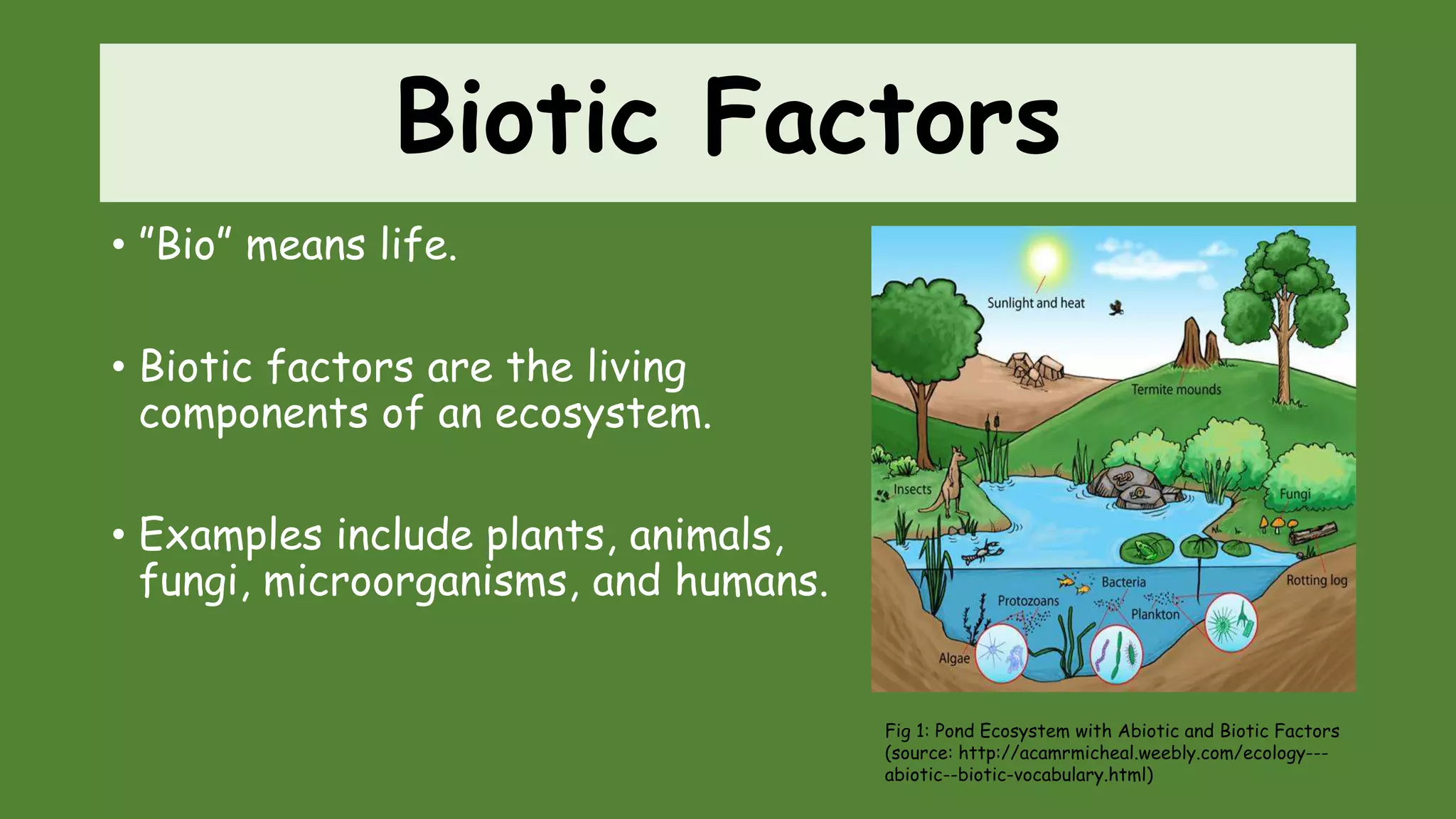 Ecosystems Module 1: Abiotic & Biotic Factors | PPTX