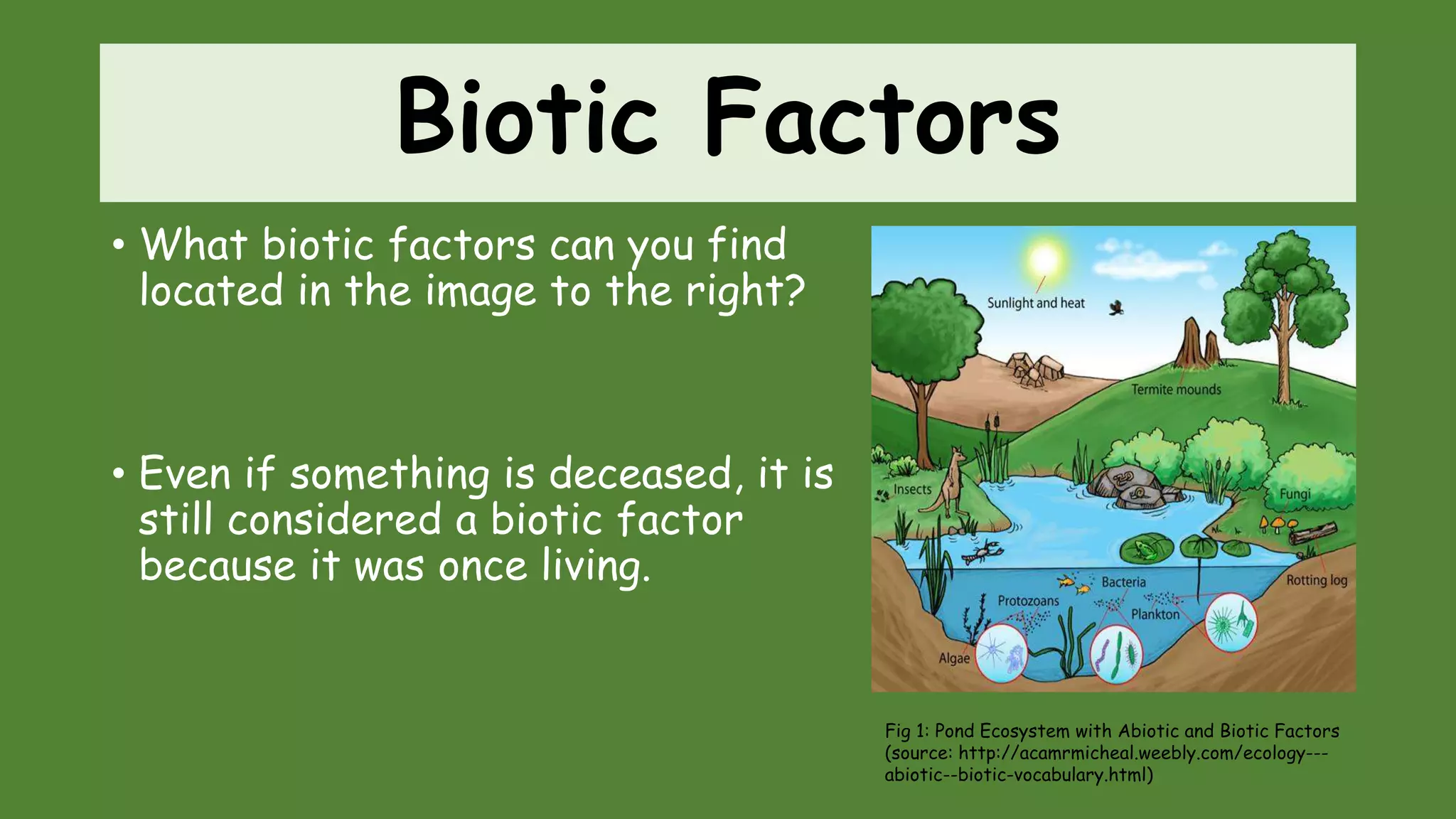 Ecosystems Module 1: Abiotic & Biotic Factors | PPTX