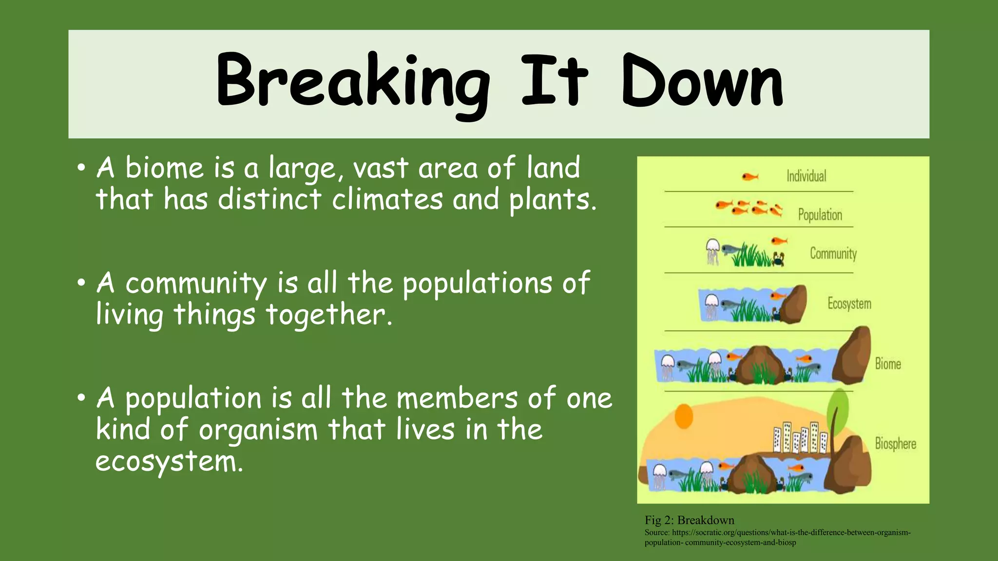 Ecosystems Module 1: Abiotic & Biotic Factors | PPTX